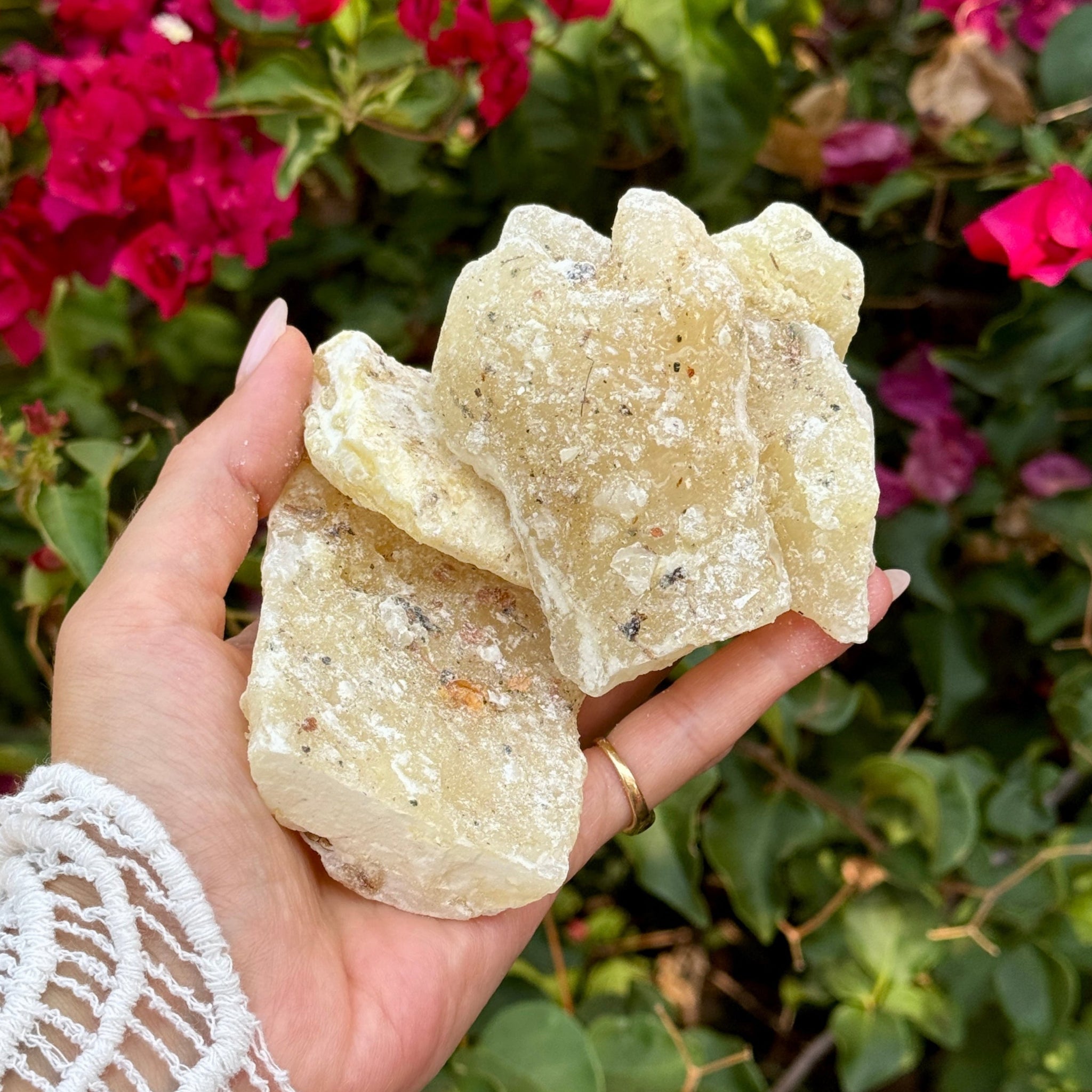 Copal Blanco Essential Oil by Samvara Herbals – SAMVARA